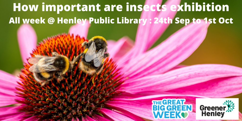 How important are our insects? - Green Arts